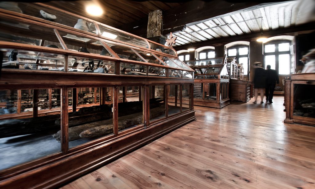 Museum Tour – Rosgartenmuseum